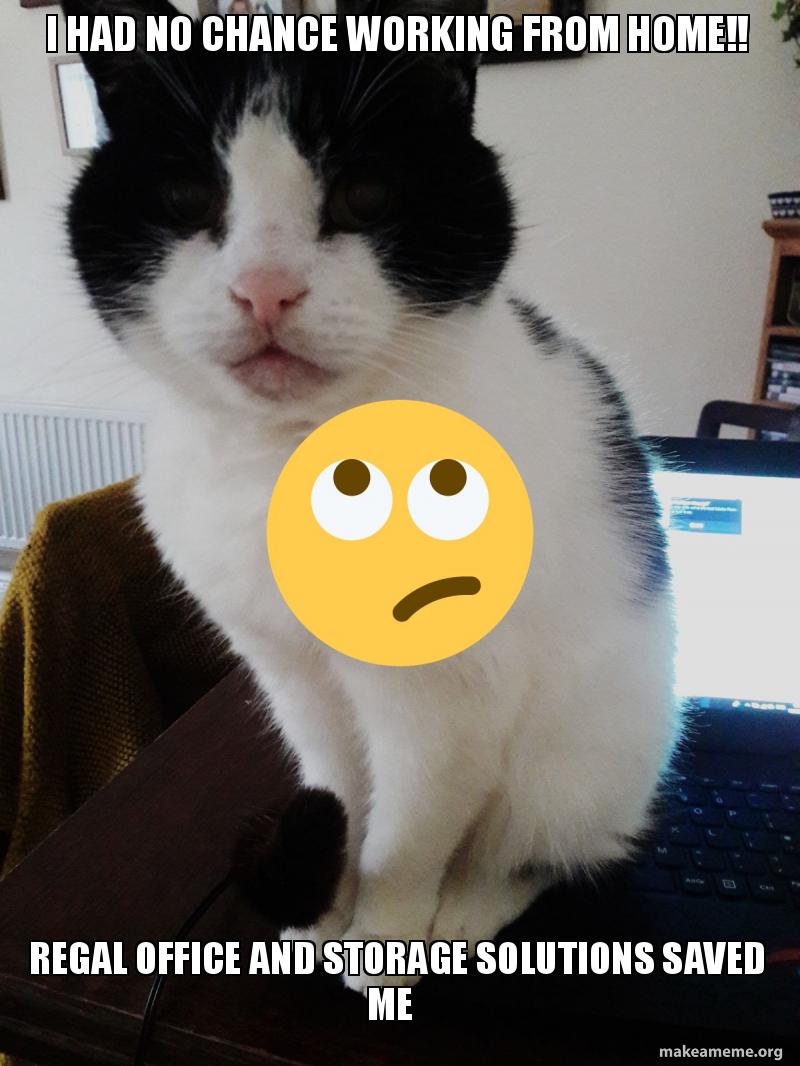 I had no chance working from home!! Regal Office and Storage Solutions ...