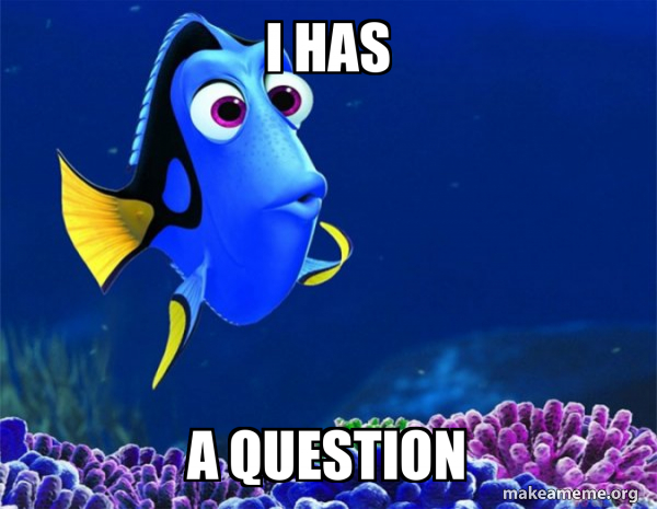 i has a question - Dory from Nemo (5 second memory) Meme Generator