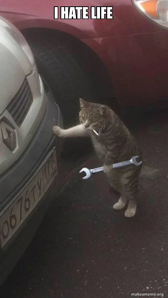I hate life - Mechanic Cat Meme Generator