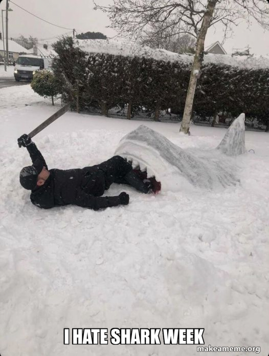 i hate shark week Meme Generator