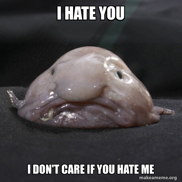 I hate you I don't care if you hate me - Blobfish Meme Generator