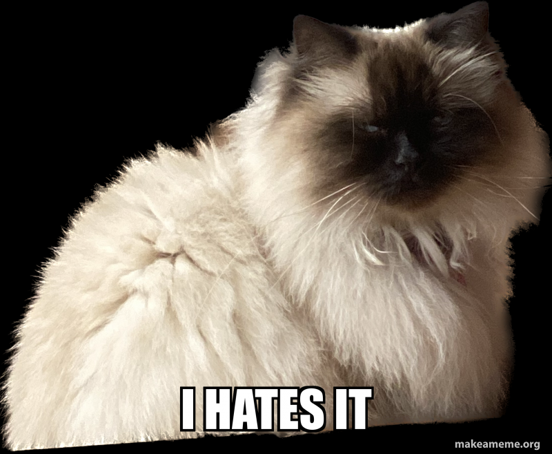 i hates it Meme Generator