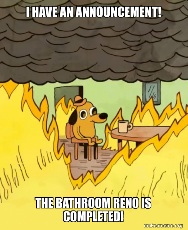 I have an announcement! The bathroom reno is completed! - This Is Fine ...