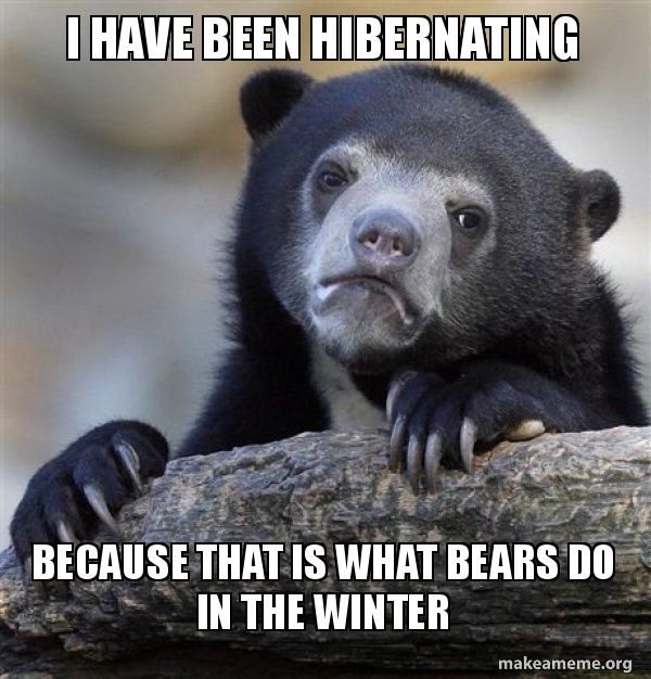 I HAVE BEEN HIBERNATING BECAUSE THAT IS WHAT BEARS DO IN THE WINTER ...