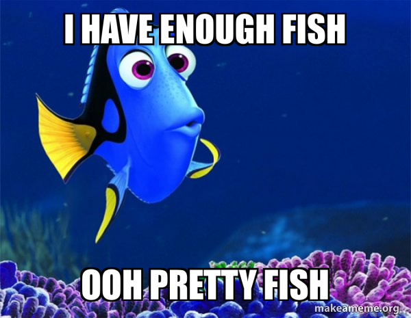 I HAVE ENOUGH FISH OOH PRETTY FISH - Dory from Nemo (5 second memory ...
