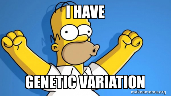 i have genetic variation - Happy Homer Meme Generator