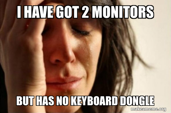 I have got 2 monitors but has no keyboard dongle - First World Problems ...