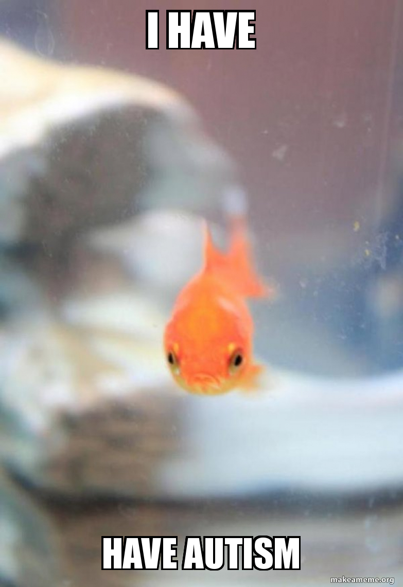 I HAVE HAVE AUTISM - Grumpy Fish Meme Generator