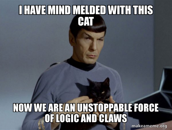 I have mind melded with this cat Now we are an unstoppable force of ...