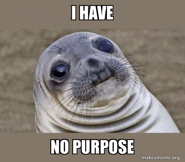 I have No purpose - Squeamish Seal Meme Generator