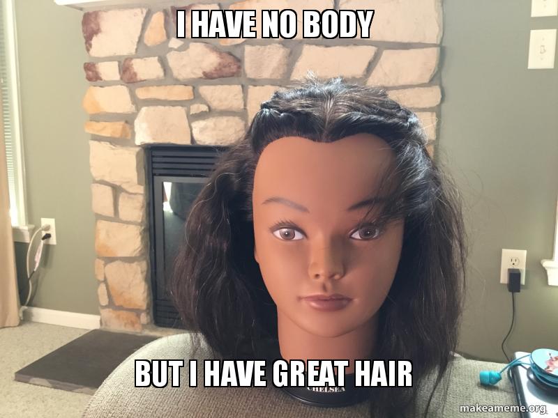 I have no body But I have great hair Meme Generator