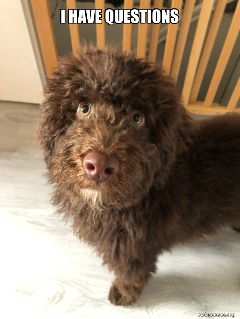 I hAVE QUESTIONS Meme Generator