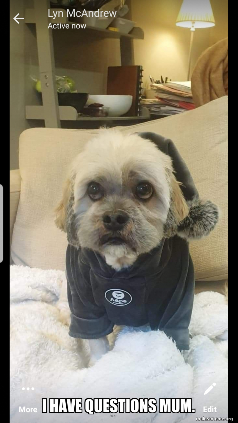 I have questions mum. Meme Generator