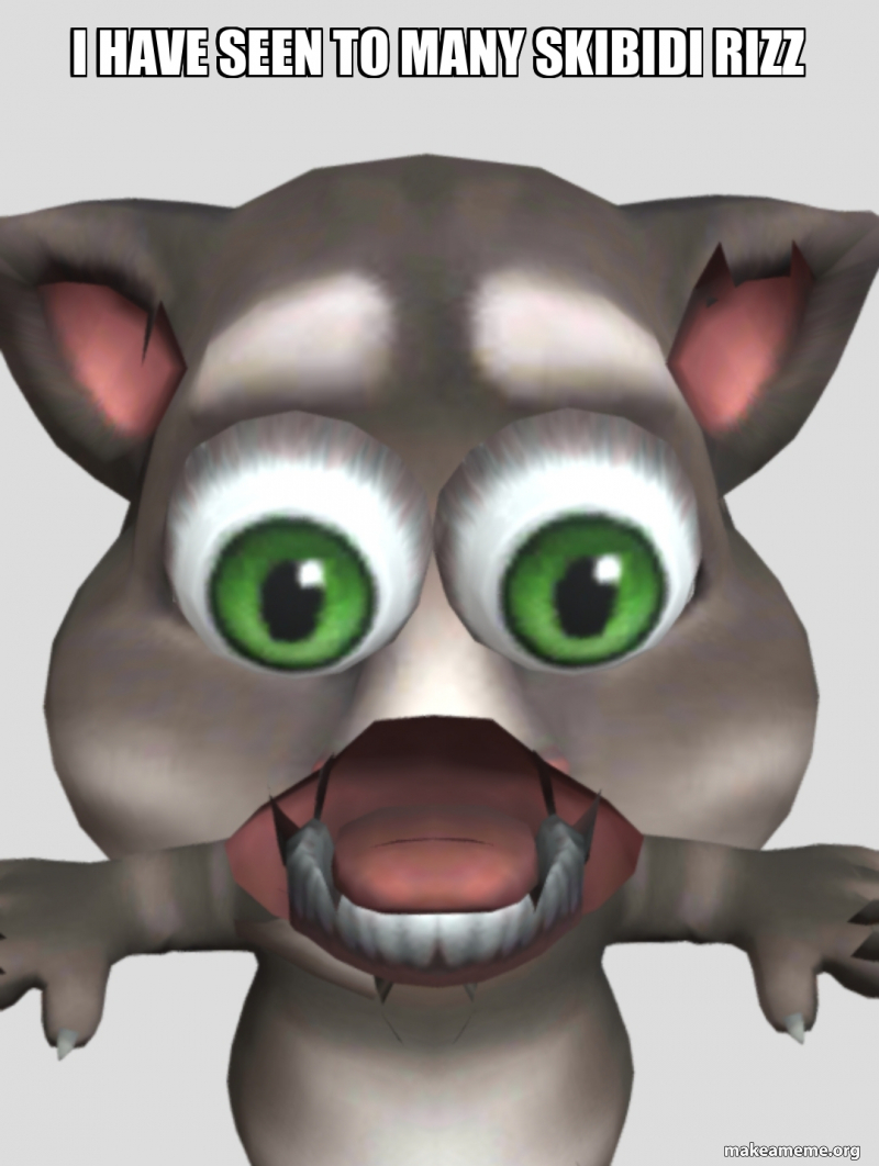 I have seen to many skibidI rizz - Tom 1999 meme Meme Generator