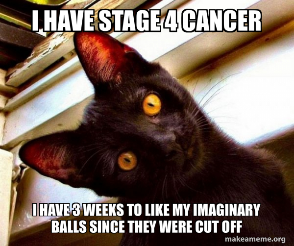 I have stage 4 cancer I have 3 weeks to like my imaginary balls since ...