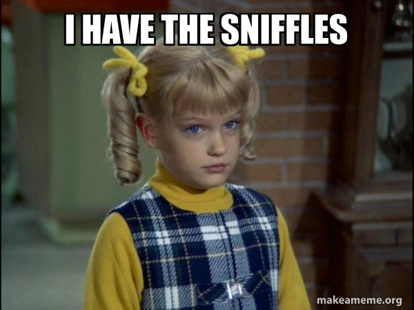 I have the sniffles - Cindy Brady Meme Meme Generator