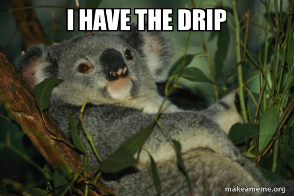 i have the drip - Laid Back Koala Meme Generator