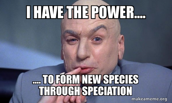 Empower Memes DAX Memes (@DAX_memes) / X