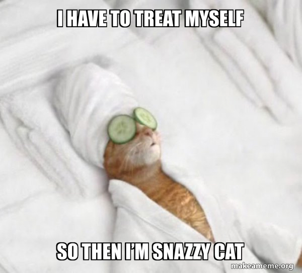 I have to treat myself So then I’m snazzy cat - Pampered Cat Meme Meme ...