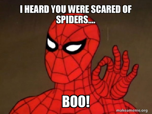Scared Spiders Meme Are You Scared Of This Spider Meme | TikTok