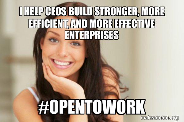 I help CEOs build stronger, more efficient, and more effective ...