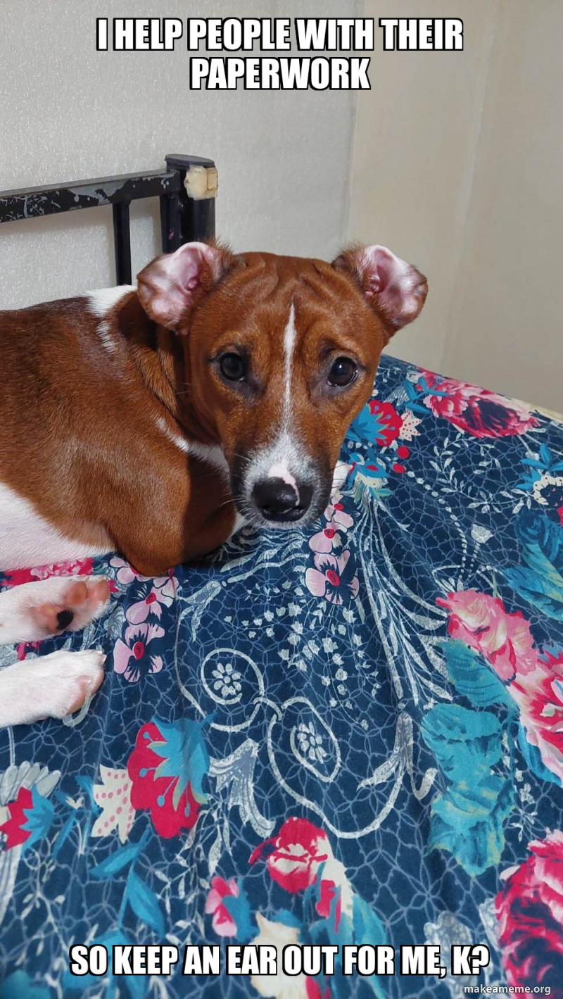 I HELP PEOPLE WITH THEIR PAPERWORK SO KEEP AN EAR OUT FOR ME, K? Meme ...