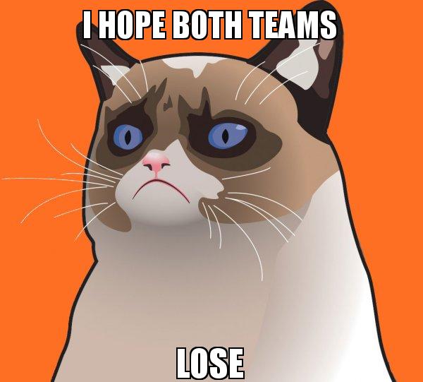 i hope both teams lose - Cartoon Grumpy Cat Meme Generator