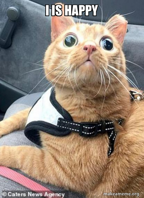 I is happy Meme Generator