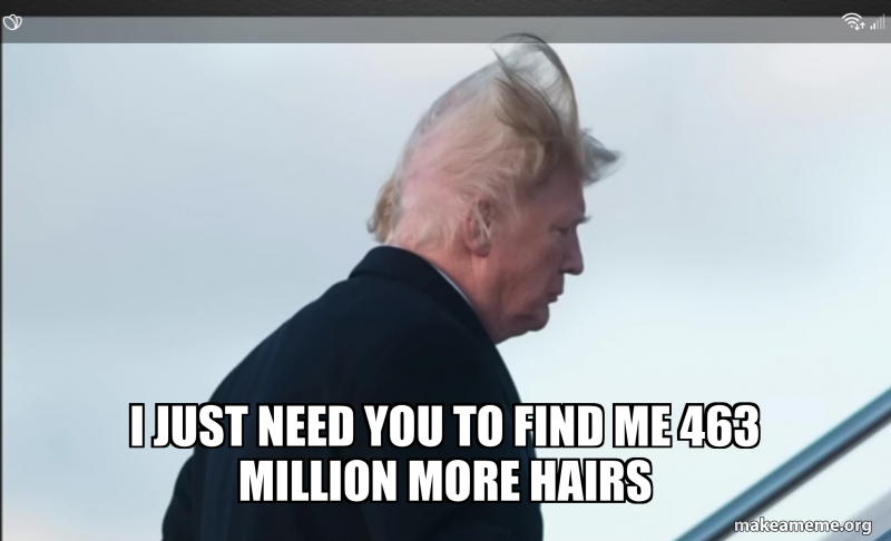 I just need you to find me 463 million more hairs Meme Generator