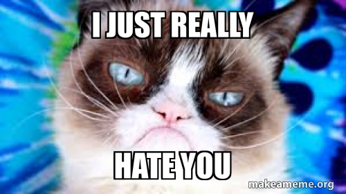 I Just Really Hate You Meme Generator