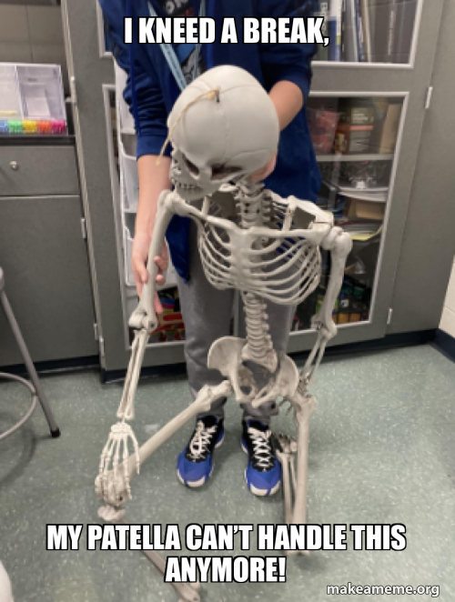 I kneed a break, MY PATELLA CAN’T HANDLE THIS ANYMORE! Meme Generator