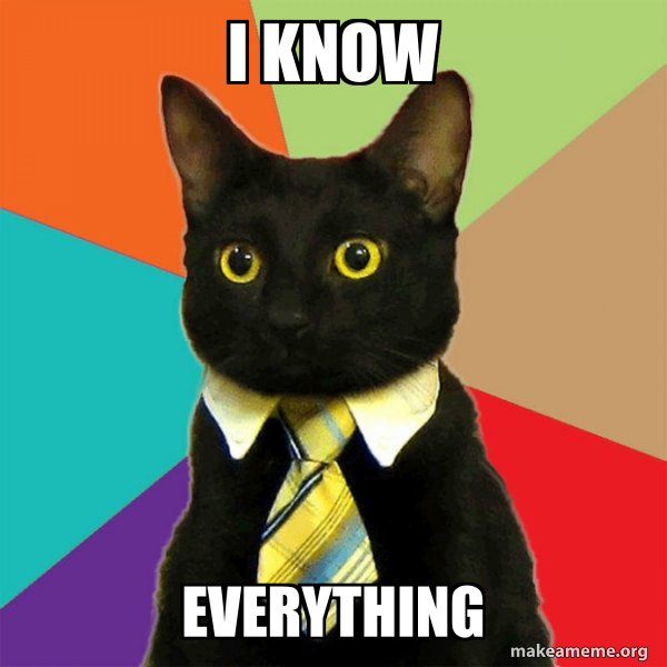 I know EVERYTHING - Business Cat Meme Generator