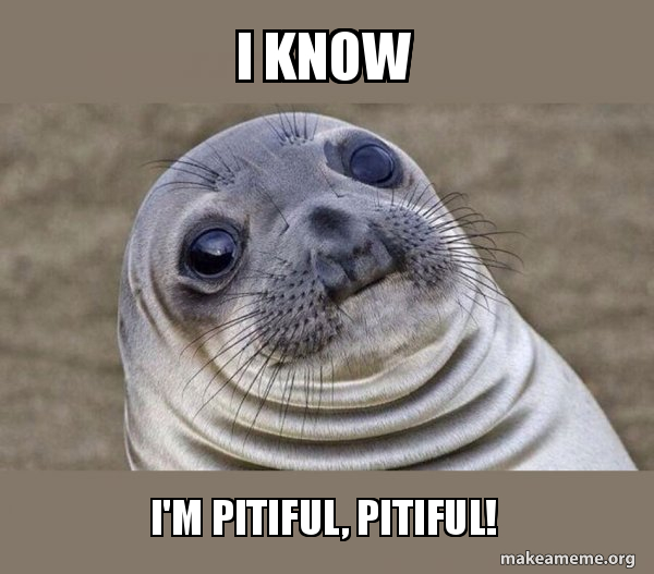 I know I'm pitiful, pitiful! - Squeamish Seal Meme Generator