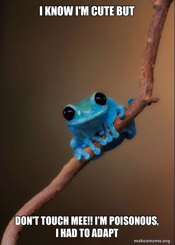 I know i'm cute but Don't Touch MEE!! I'm poisonous, I had to adapt ...