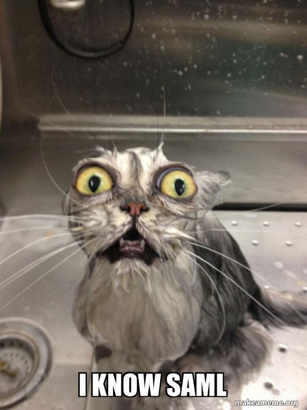 I KNOW SAML - Cat bath Meme Generator