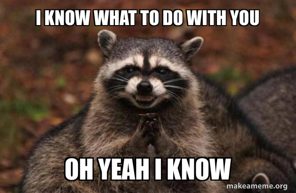 I know what to do with you oh yeah I know - Evil Plotting Raccoon Meme ...