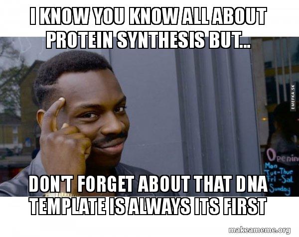 i know you know all about protein synthesis but... don't forget about ...