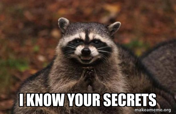 I know your secrets - Evil Plotting Raccoon Meme Generator