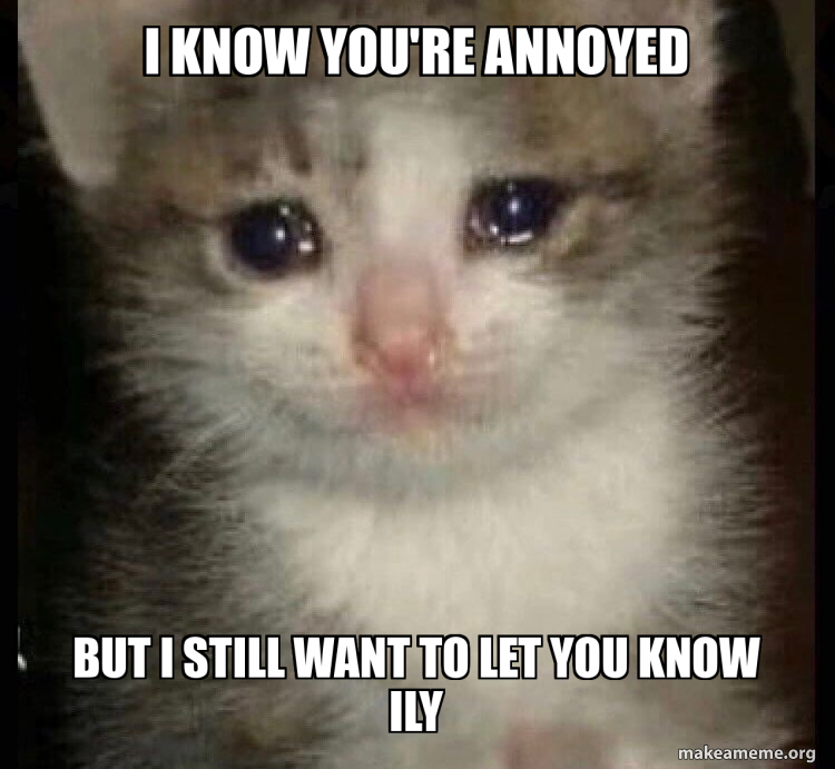 I know you're annoyed but i still want to let you know ily Meme Generator