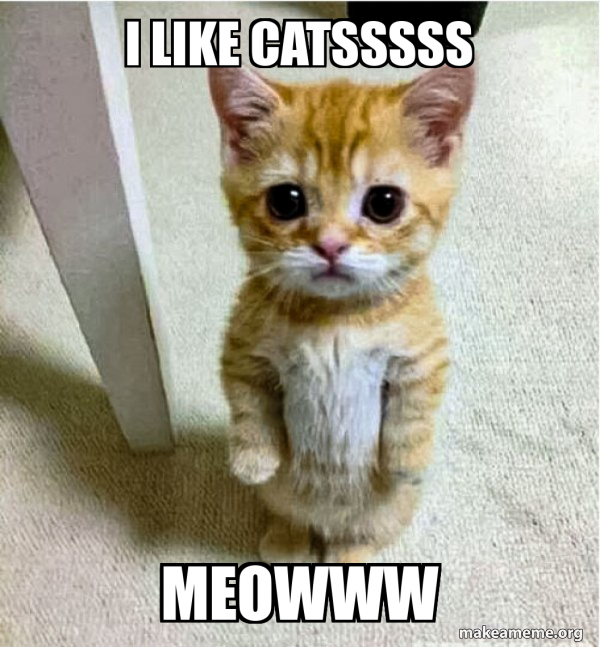 I like catsssss MEOWWW - Cute Cat Standing Meme Generator