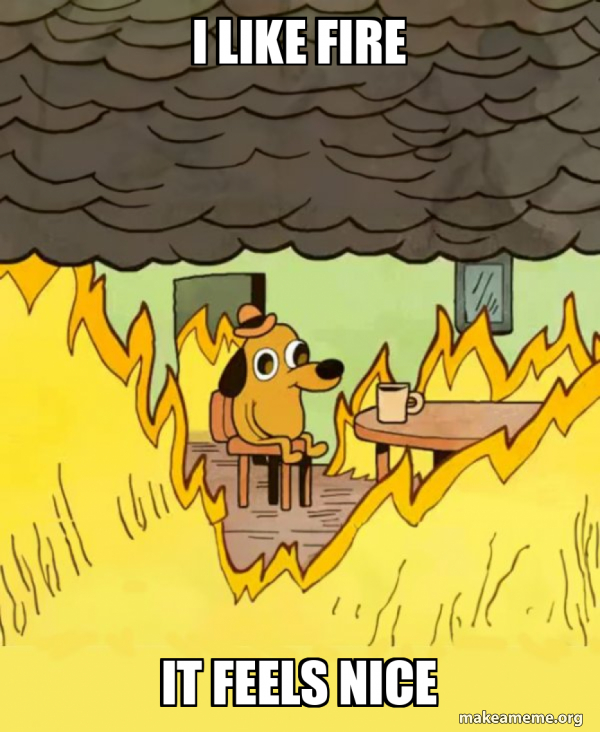 I Like Fire It Feels nice - This Is Fine Meme Generator