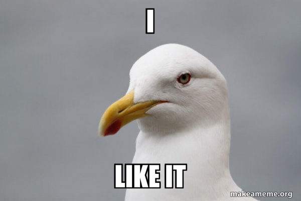 I like it - Stuff That Didn't Happen Seagull Meme Generator