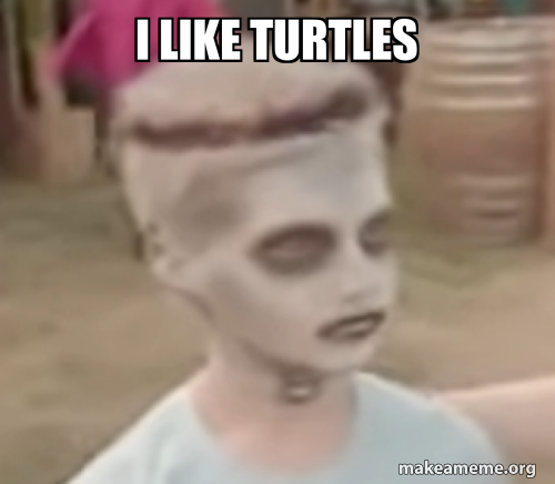 I like turtles Meme Generator