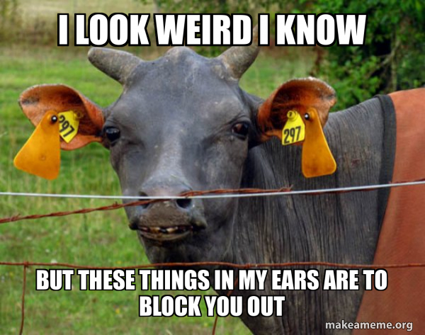 I look weird I know But these things in my ears are to block you out ...