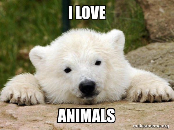 I LOVE Animals - Popular Opinion Bear Meme Generator