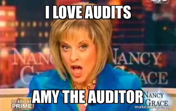 I LOVE Audits Amy the Auditor - False Fact Nancy Grace | Make a Meme