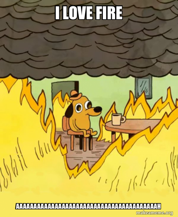 i love fire aaaaaaaaaaaaaaaaaaaaaaaaaaaaaaaaaaaaaaaah - This Is Fine ...