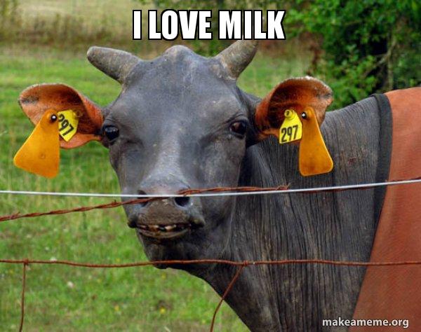I love milk - Hairless Cow Meme Generator