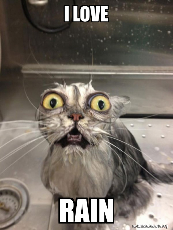 i love rain - Cat bath Meme Generator