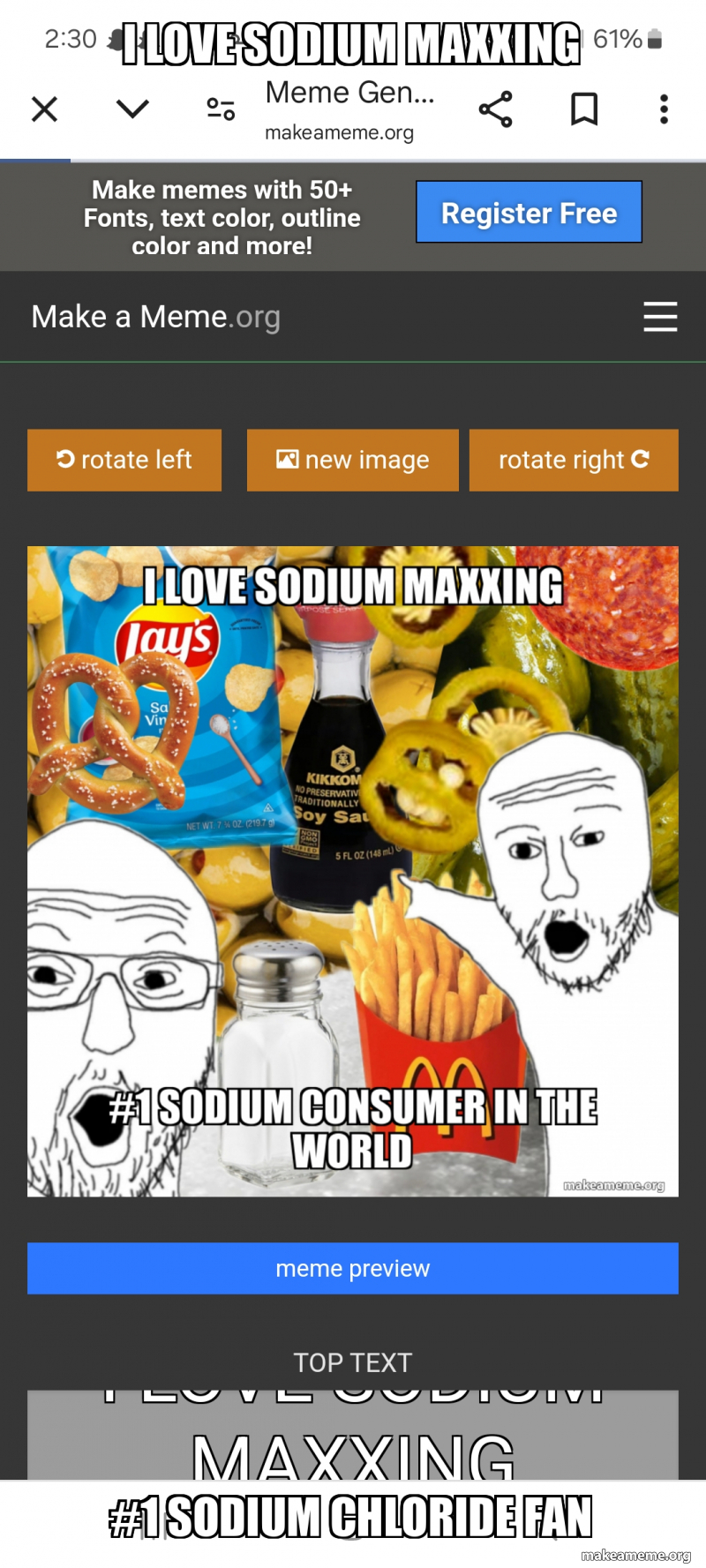 I LOVE SODIUM MAXXING #1 sodium chloride FAN Meme Generator